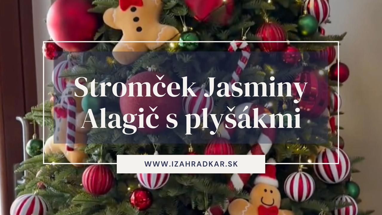 Jasmina ukázala Sanelovu tvár: Veď on je celý OTEC! Jasmina ukázala Sanelovu tvár: Veď on je celý OTEC!